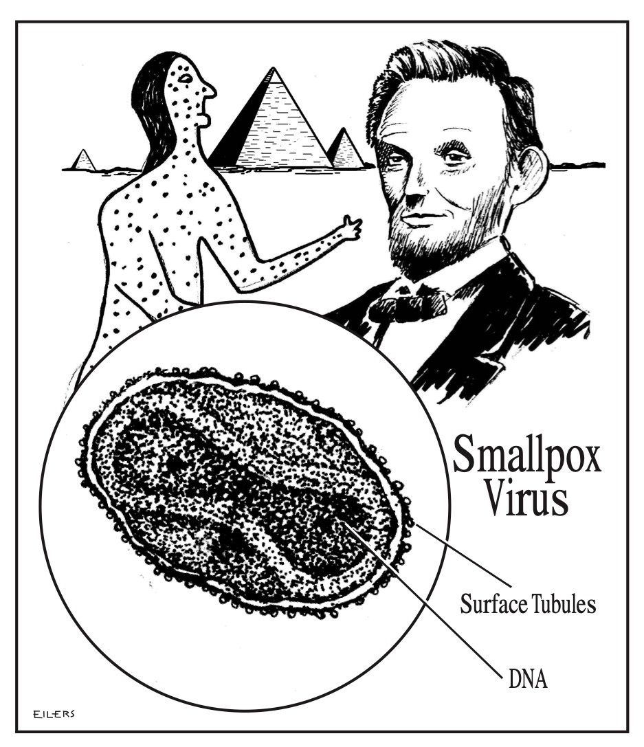 Smallpox Definition